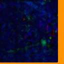 ROFlow - Optical Flow Results